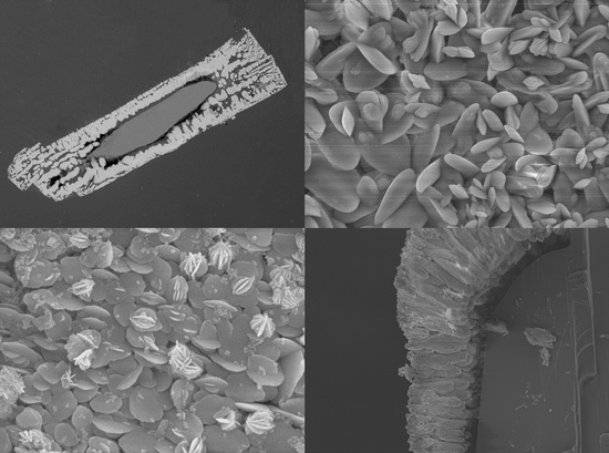 Minerals | Special Issue : Barite