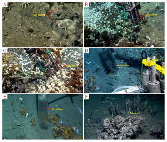 Using Time-Series Videos to Quantify Methane Bubbles Flux from Natural ...
