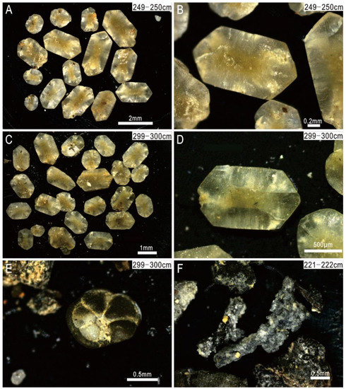 Unique Authigenic Mineral Assemblages and Planktonic Foraminifera ...