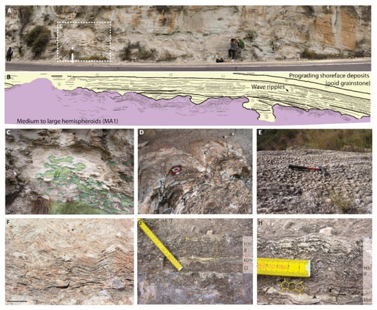 The Record of Environmental and Microbial Signatures in Ancient ...