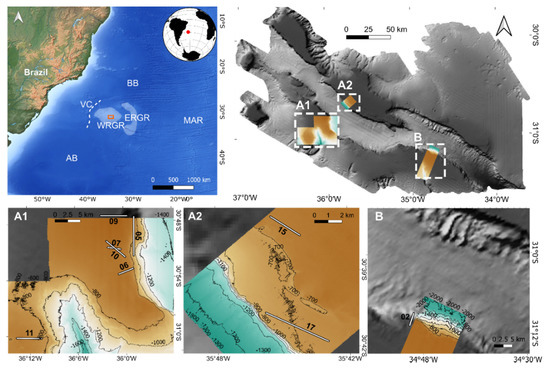 Genesis and Evolution of Ferromanganese Crusts from the Summit of Rio ...