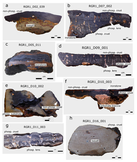 Genesis and Evolution of Ferromanganese Crusts from the Summit of Rio ...