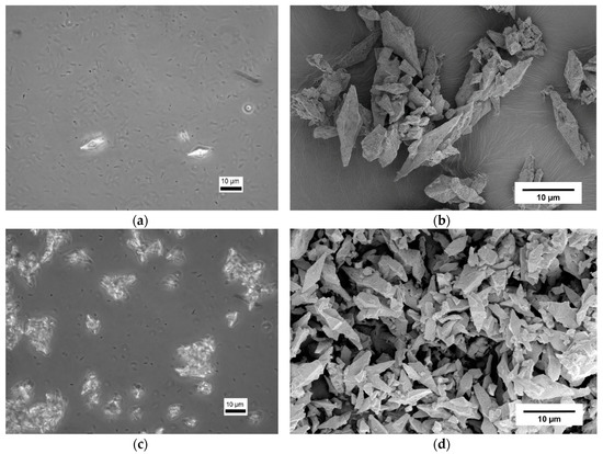 Properties of Sulfur Particles Formed in Biodesulfurization of Biogas
