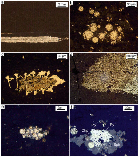 Minerals | Free Full-Text | Highly Metalliferous Potential of ...
