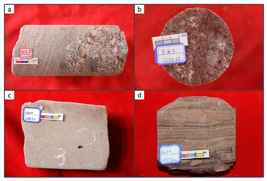 Geochemical Significance of Clay Minerals and Elements in Paleogene Sandstones in the Center of ...