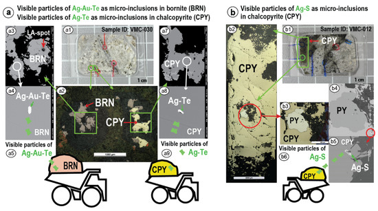 Metal-Selective Processing from the Los Sulfatos Porphyry-Type Deposit ...