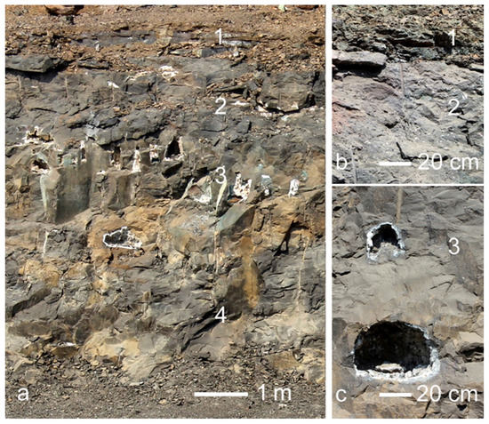 Biosignatures in Subsurface Filamentous Fabrics (SFF) from the Deccan ...
