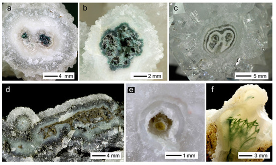 Biosignatures in Subsurface Filamentous Fabrics (SFF) from the Deccan ...