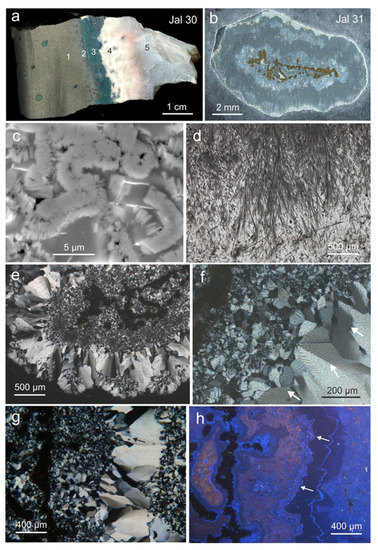 Biosignatures in Subsurface Filamentous Fabrics (SFF) from the Deccan ...