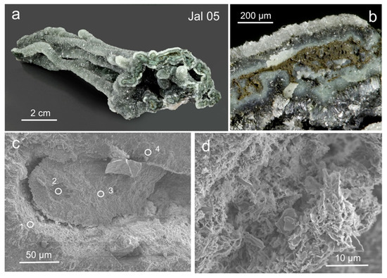 Biosignatures in Subsurface Filamentous Fabrics (SFF) from the Deccan ...