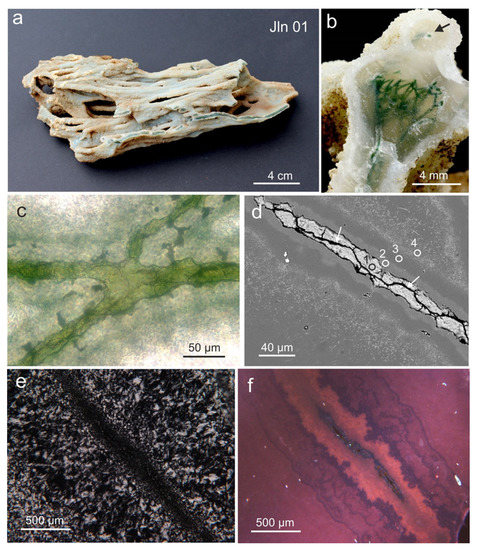 Biosignatures in Subsurface Filamentous Fabrics (SFF) from the Deccan ...