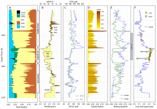 Lower Cretaceous Rodby and Palaeocene Lista Shales: Characterisation ...