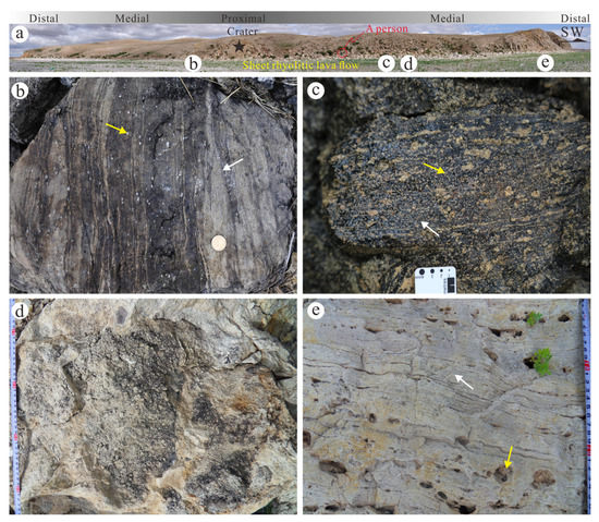 Microstructure Investigation of Oil-Bearing Rhyolites: A Case Study ...