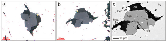 Coulsonite FeV2O4—A Rare Vanadium Spinel Group Mineral in Metamorphosed ...