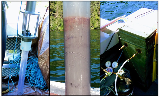 Sulfur Species, Bonding Environment, and Metal Mobilization in Mining ...