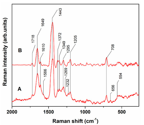 Editorial for the Special Issue “Modern Raman Spectroscopy of Minerals”