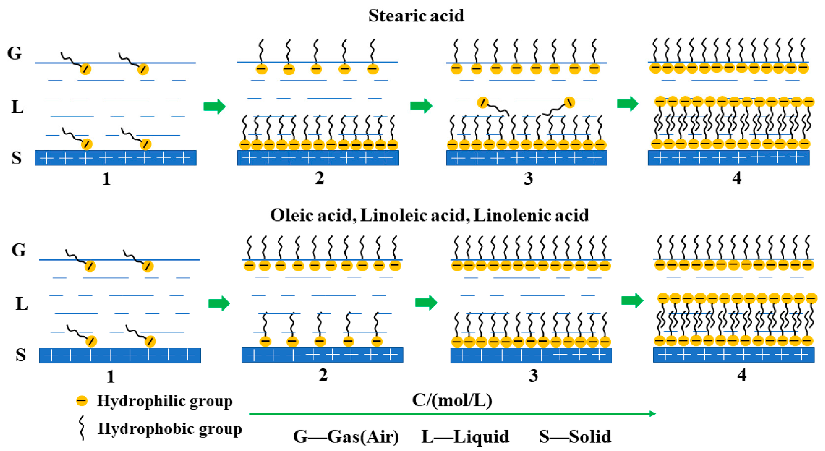 Adsorption Behavior and Wettability of Rhodochrosite Surface: Effect of ...