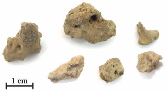 The Formation of Authigenic Carbonates at a Methane Seep Site in the ...