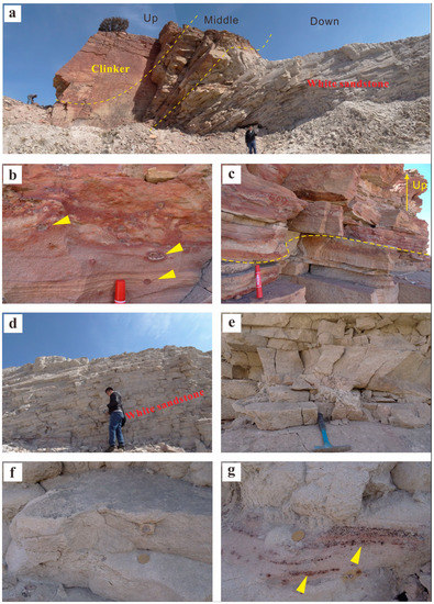 Petrography, Mineralogy, and Geochemistry of Combustion Metamorphic ...