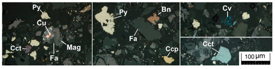 Sequential Bioleaching of Pyritic Tailings and Ferric Leaching of ...
