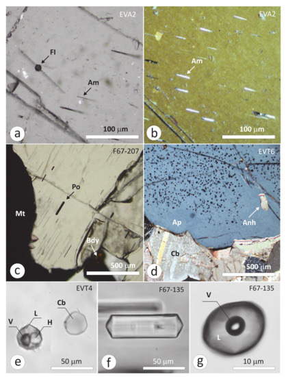 Trace Elements in Apatite as Genetic Indicators of the Evate Apatite ...
