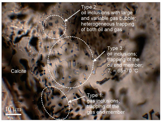 Common Problems and Pitfalls in Fluid Inclusion Study: A Review and ...