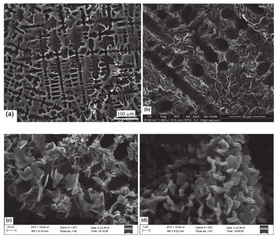 Graphite Dendrites in Cast Iron and Their Fundamental Role in the ...