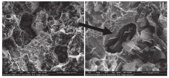 Graphite Dendrites in Cast Iron and Their Fundamental Role in the ...