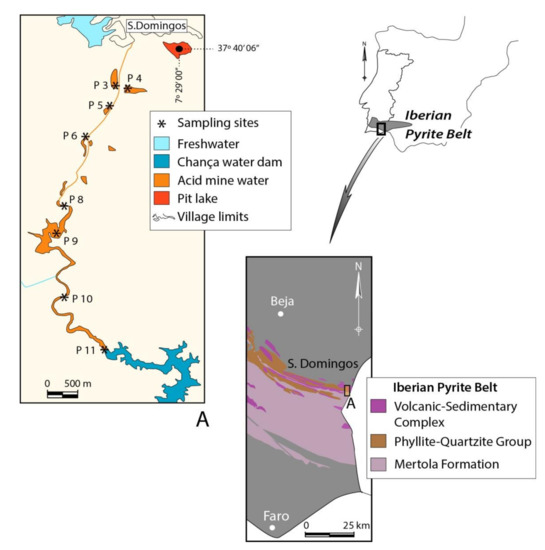 Algae in Acid Mine Drainage and Relationships with Pollutants in a ...