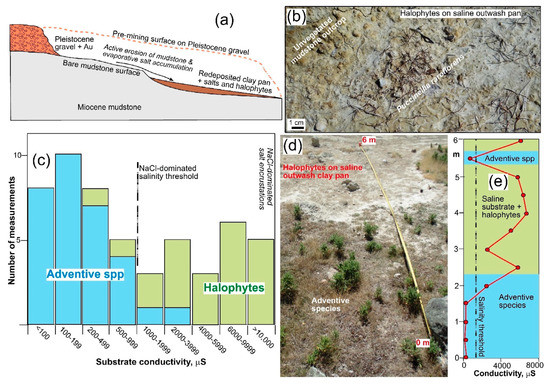 Geoecological Zonation of Revegetation Enhances Biodiversity at ...