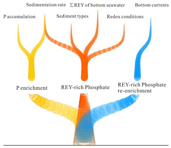 Mechanism and Influencing Factors of REY Enrichment in Deep-Sea Sediments