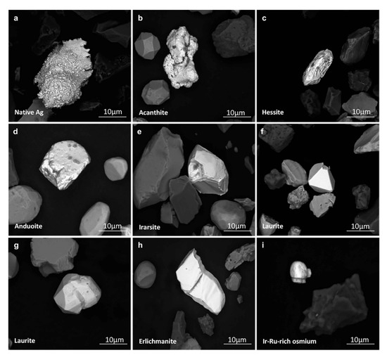 Exploration for Platinum-Group Minerals in Till: A New Approach to the ...