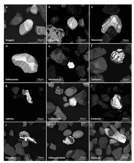 Exploration for Platinum-Group Minerals in Till: A New Approach to the ...
