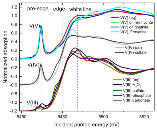 Reduction of Vanadium(V) by Iron(II)-Bearing Minerals