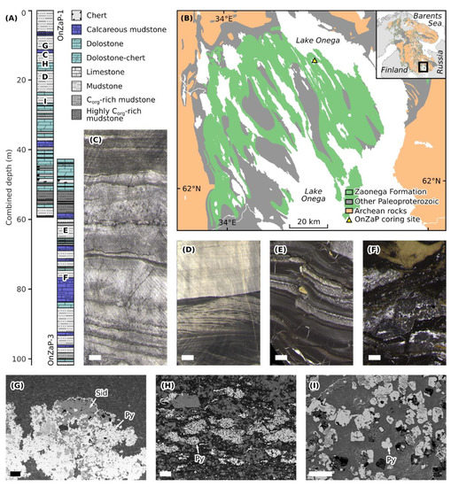 Iron Isotopes Reveal a Benthic Iron Shuttle in the Palaeoproterozoic ...