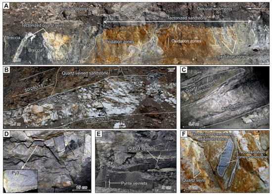 Disseminated Gold–Sulfide Mineralization in Metasomatites of the ...
