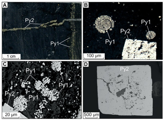Disseminated Gold–Sulfide Mineralization in Metasomatites of the ...