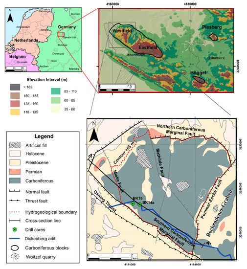 A Petrographic Investigation of the Carboniferous Sequence from the ...