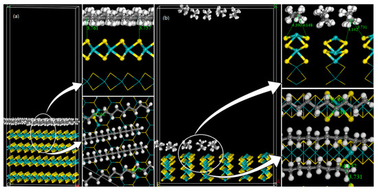 Adsorption Behaviors of Straight-Chain Alkanes on a Molybdenite [001 ...