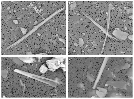 Asbestiform Amphiboles and Cleavage Fragments Analogues: Overview of ...