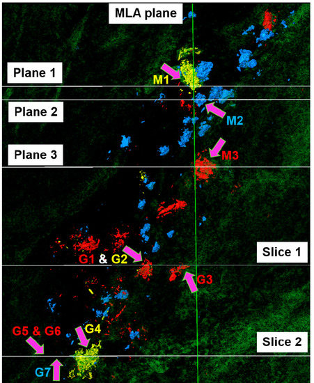 Minerals | Free Full-Text | Spectral Tomography for 3D Element Detection and Mineral Analysis