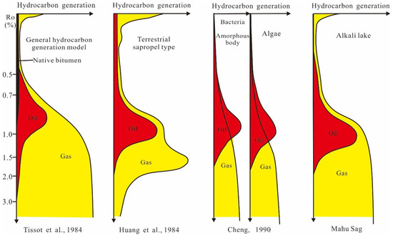 Source Rock Evaluation and Hydrocarbon Generation Model of a Permian ...