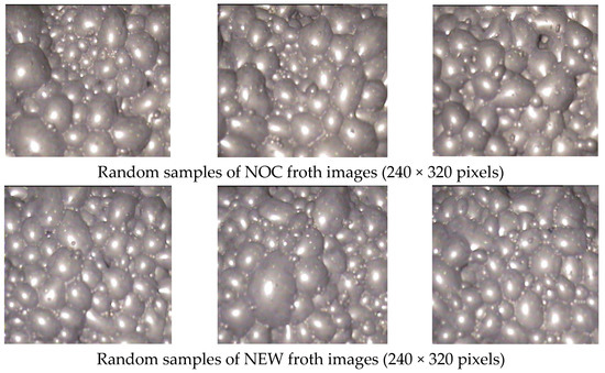 Monitoring of Flotation Systems by Use of Multivariate Froth Image Analysis