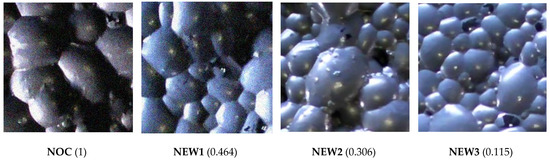 Monitoring of Flotation Systems by Use of Multivariate Froth Image Analysis