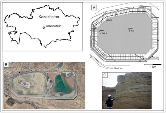 Ore Minerals and Metal Distribution in Tailings of Sediment-Hosted ...