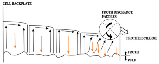 A Review of Flotation Physical Froth Flow Modifiers