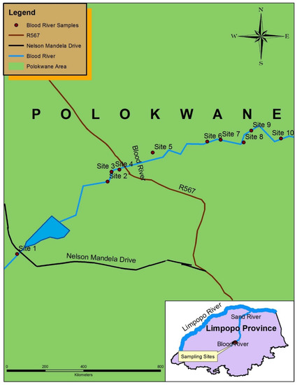 Sequential Extraction and Risk Assessment of Potentially Toxic Elements ...