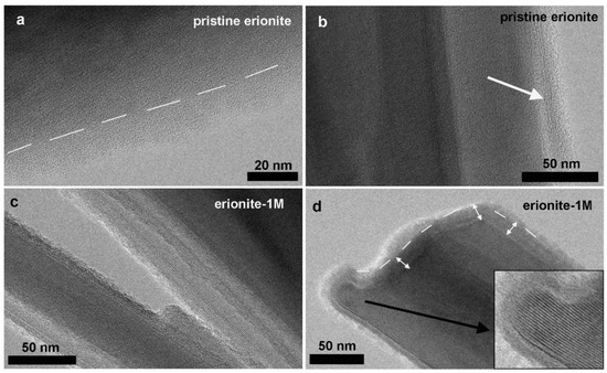 Surface and Bulk Modifications of Fibrous Erionite in Mimicked Gamble’s ...
