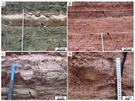 Paleoenvironment Implication of Red Paleosols in a Late Cretaceous ...