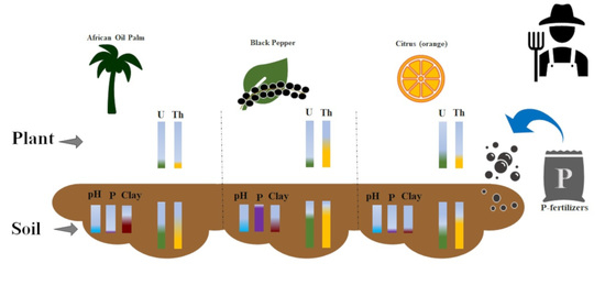 Minerals | Special Issue : Concentration and Distribution of Heavy ...